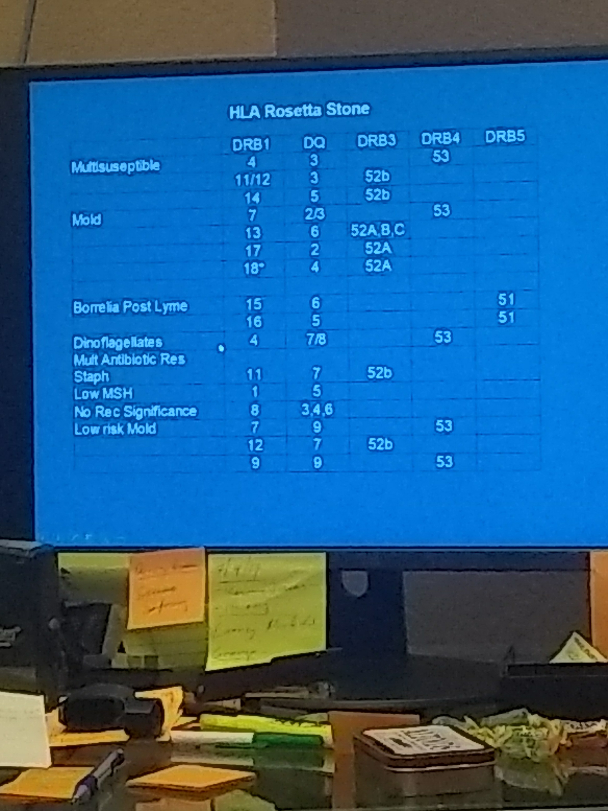 Par·a·digm Shift – §tacyReneè§weeney